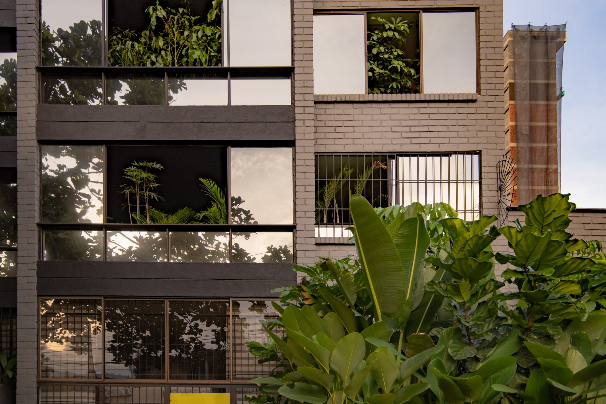 Patio Bonito | greenfield design studio